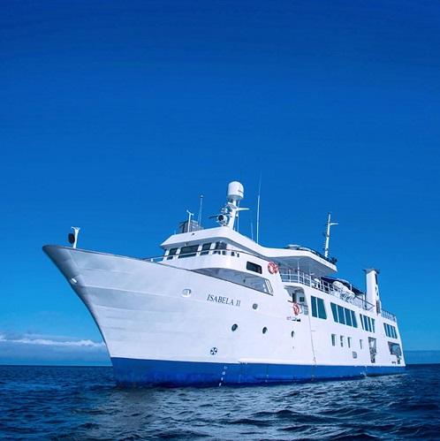Naturalist Cruises - Albatros